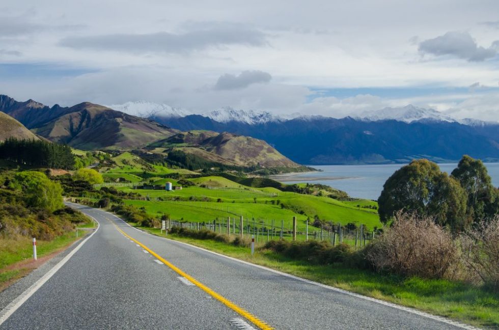 Essential Guide to Etiquette in New Zealand for Visitors